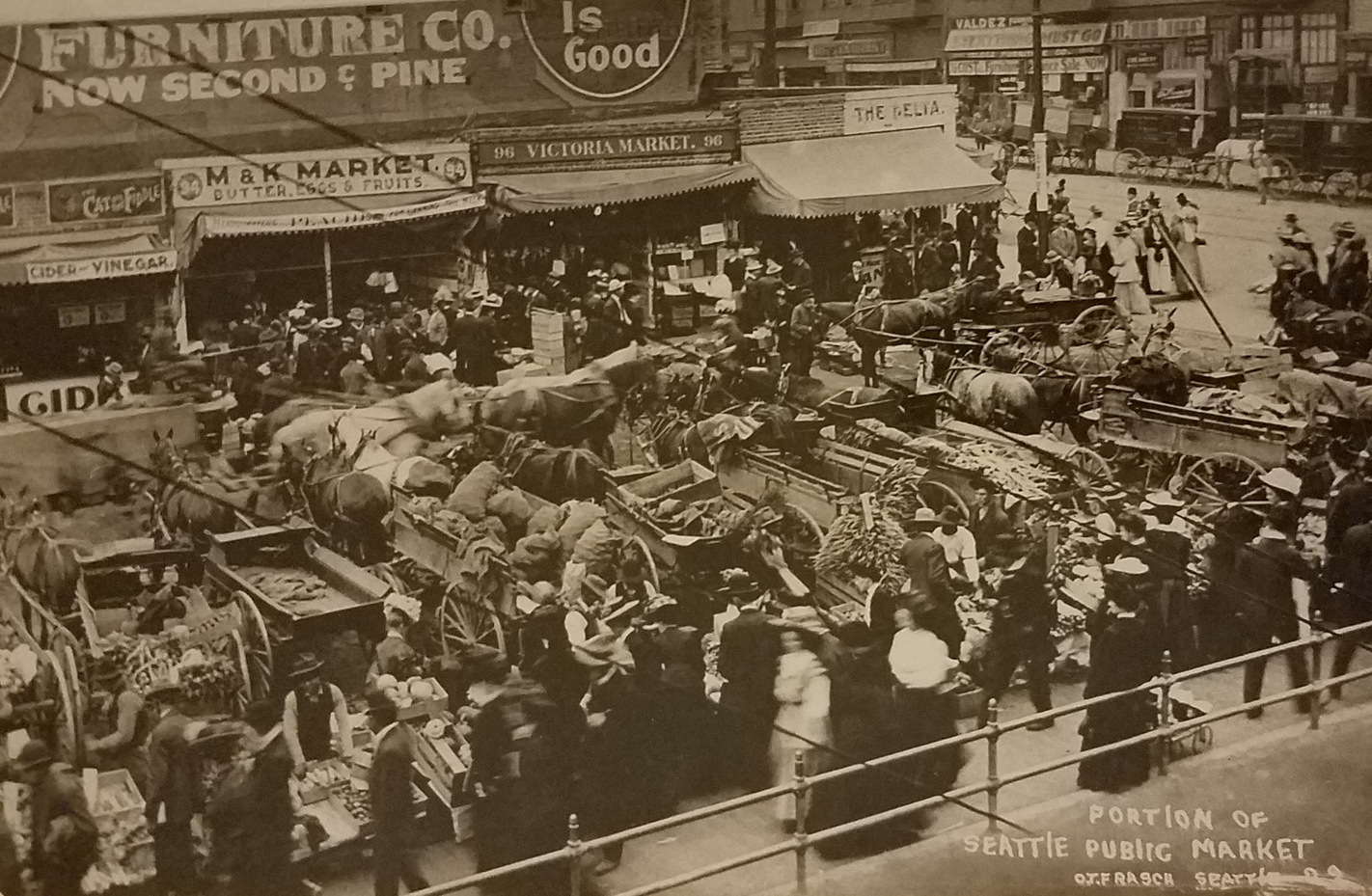 Memories from Seattle’s Pike Place Market and the Showbox – Cats and ...