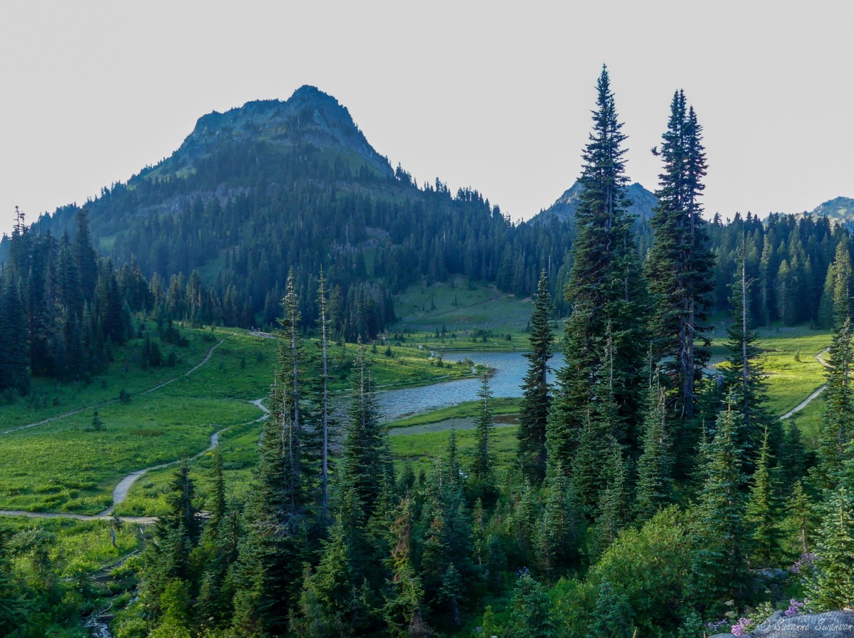 Tipsoo Lake and Little Naches River – Cats and Trails and Garden Tales
