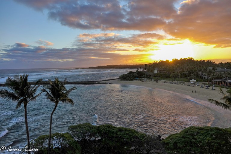 Staycation or Vacation? Yes, Please! – Cats and Trails and Garden Tales