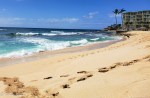 Staycation or Vacation? Yes, Please! – Cats and Trails and Garden Tales