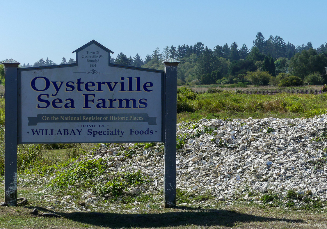Long Beach, Hot Rods, Oysterville, Cape Disappointment and Waikiki ...