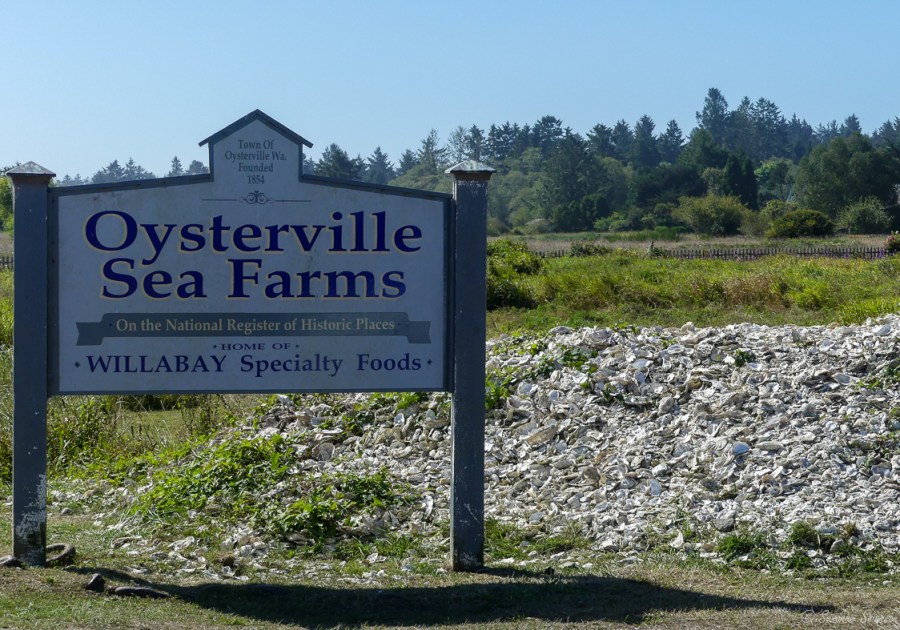 Long Beach, Hot Rods, Oysterville, Cape Disappointment and Waikiki ...