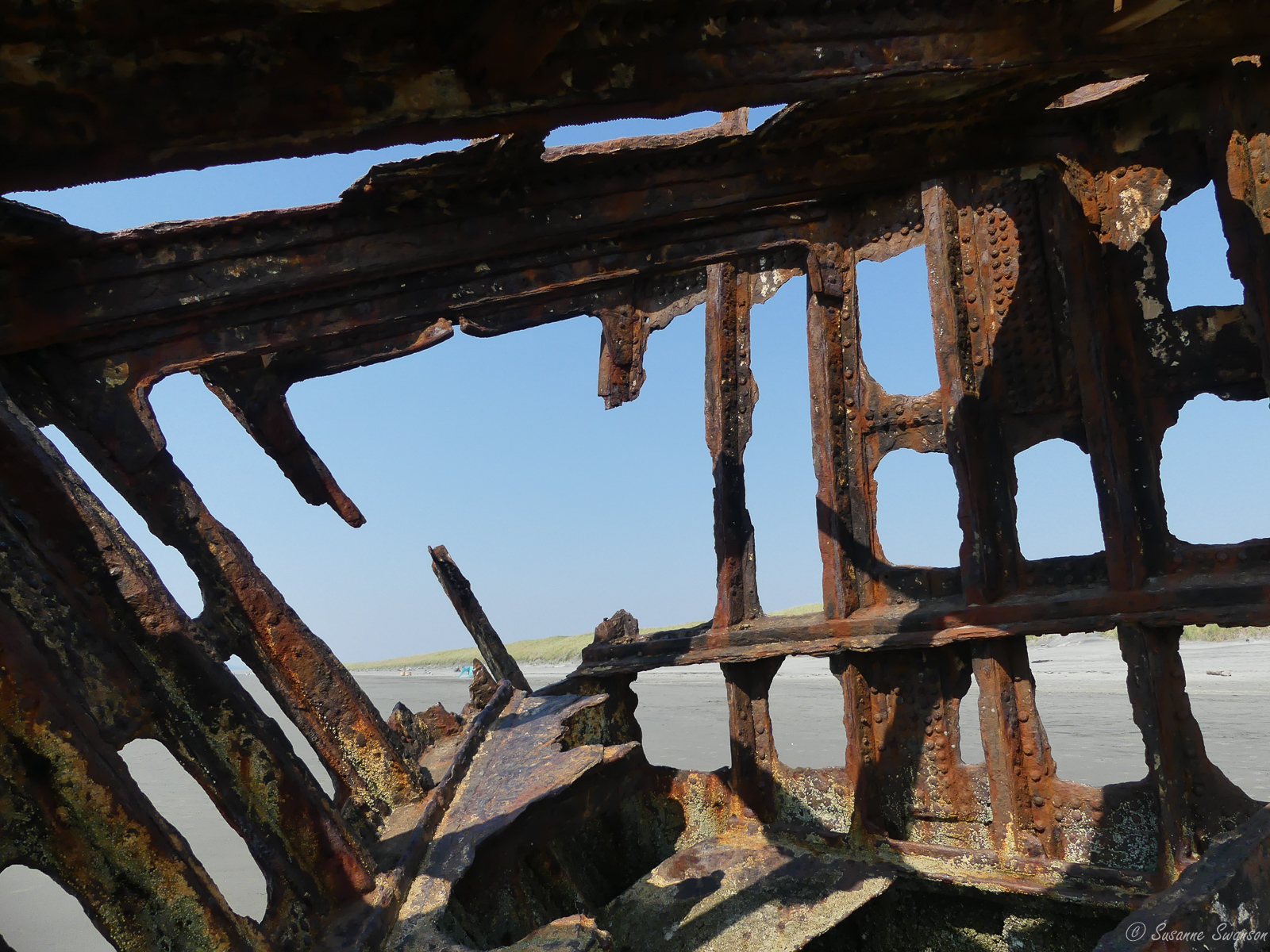 Pelicans and the Wreck of the Peter Iredale – Cats and Trails and ...