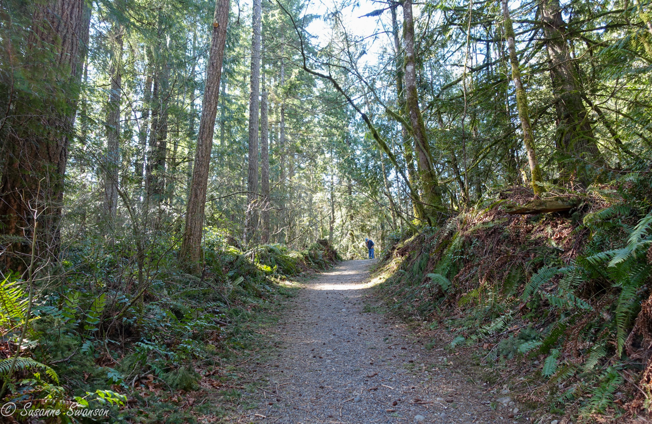 A Walk in the Woods at Nolte State Park – Cats and Trails and Garden Tales
