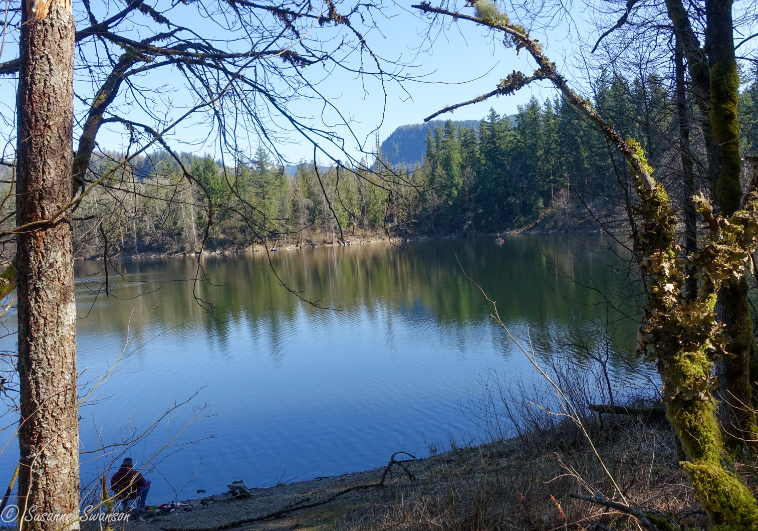 A Walk in the Woods at Nolte State Park – Cats and Trails and Garden Tales