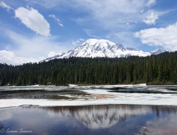 Top 10 Pacific Northwest – Cats and Trails and Garden Tales