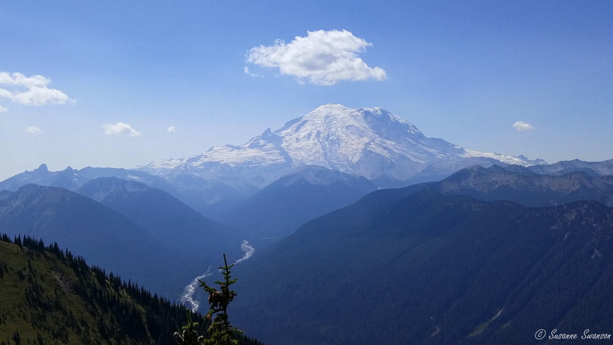 A Forgotten View of Mt. Rainier – from Crystal Mountain – Cats and ...