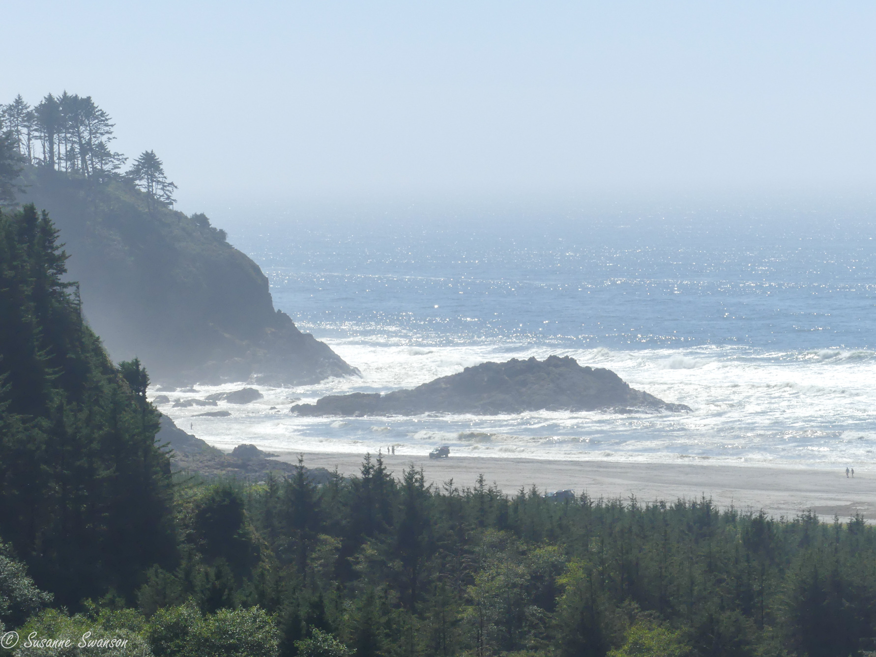 A Trip to the Beach without Benji – Cats and Trails and Garden Tales