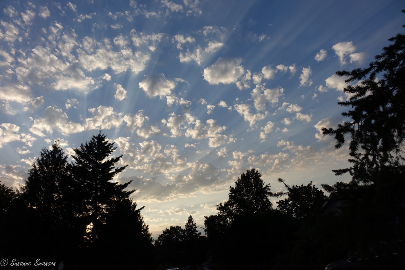 Clouds, Glorious Clouds! – Cats and Trails and Garden Tales