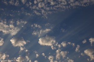 Clouds, Glorious Clouds! – Cats and Trails and Garden Tales
