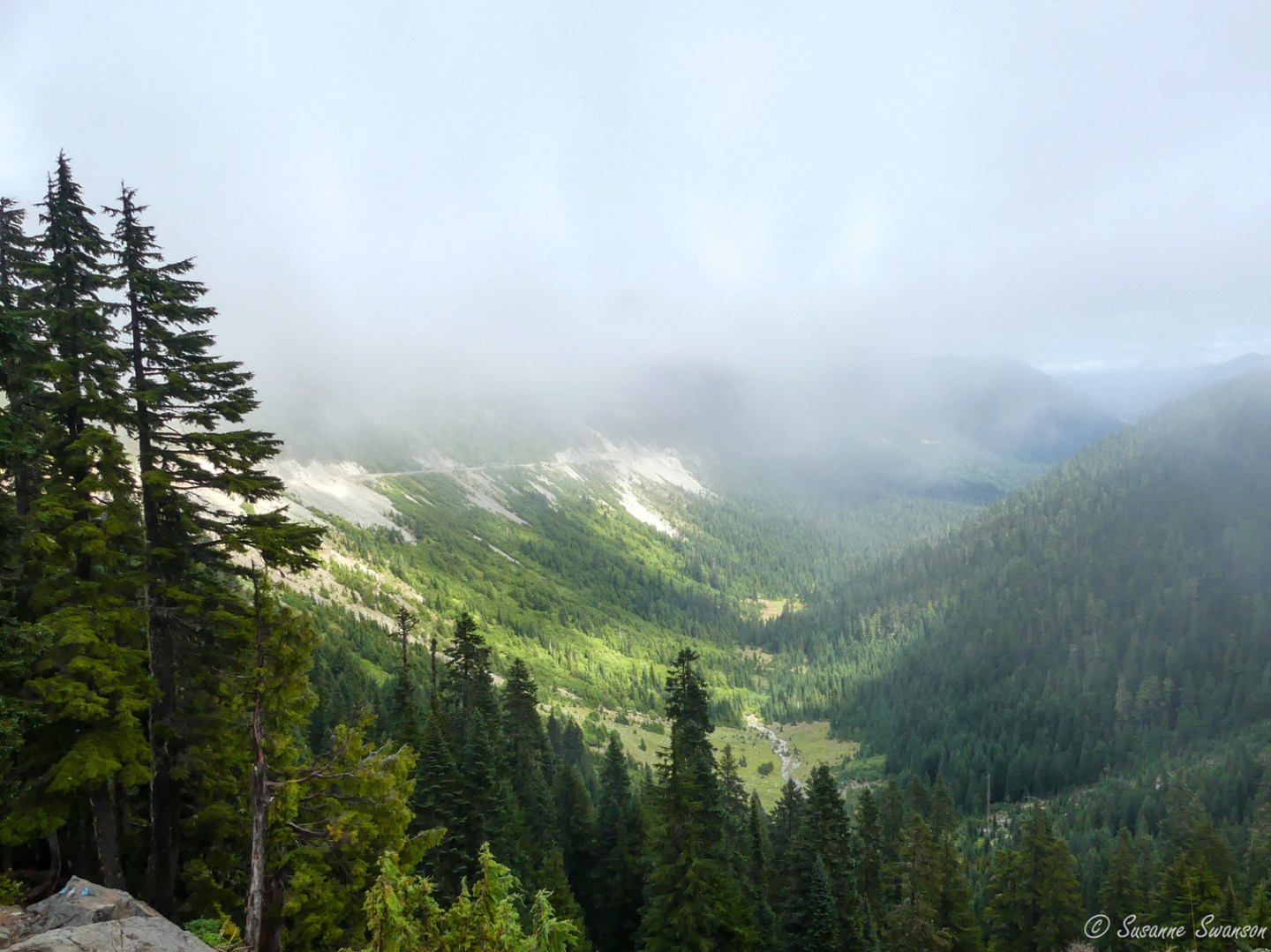 Reflections on a Lake over Chinook Pass – Cats and Trails and Garden Tales