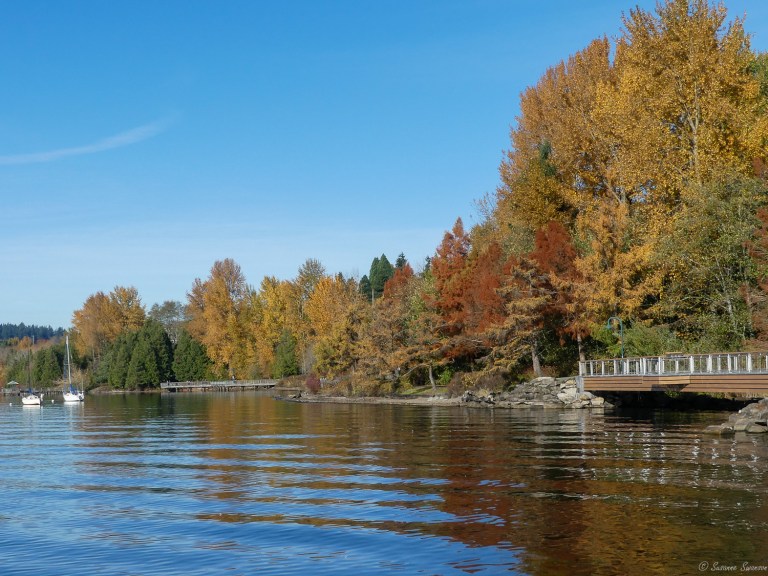 A Gorgeous Day for a Walk at Coulon – Cats and Trails and Garden Tales