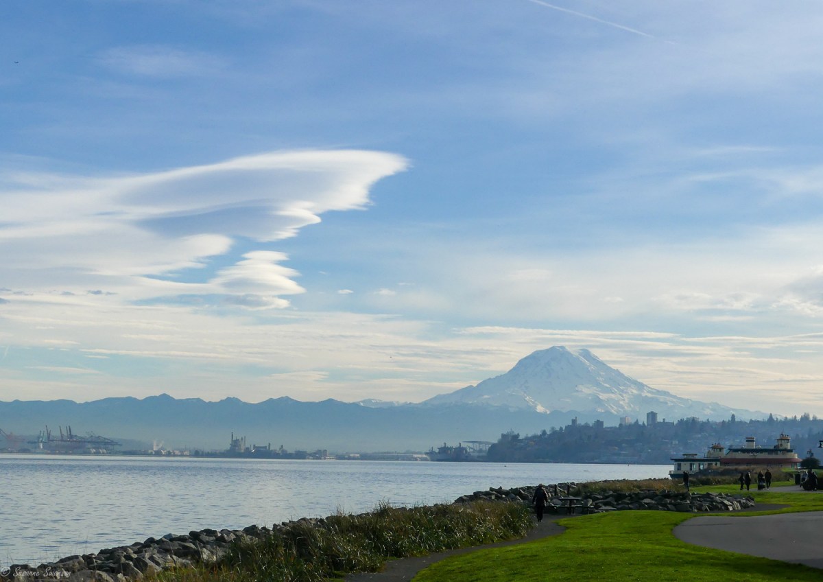 A Very Good Day on Ruston Way, Complete with Mt. Rainier and Wildlife ...