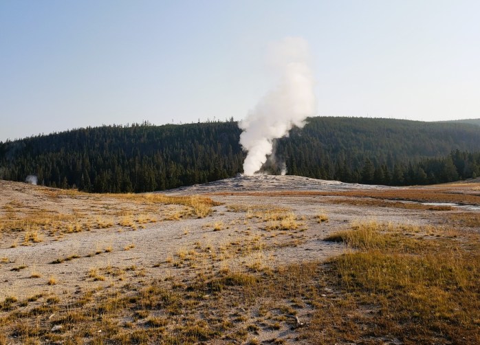 Cats and Trails and Garden Tales – Musings on cats, travel, gardens and ...