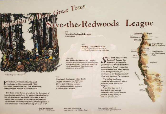 Celebrating the Coast Redwoods for Belated Earth Day – Cats and Trails ...