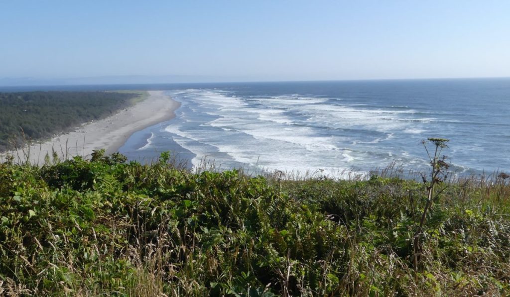 Long Beach Peninsula and Long Beach, the Town – Cats and Trails and Garden Tales