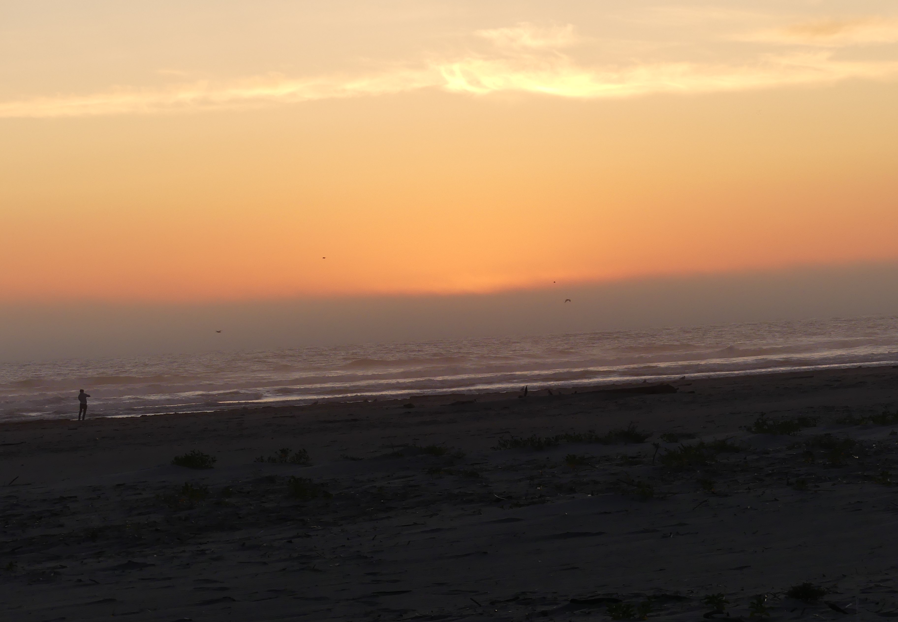 Long Beach Peninsula and Long Beach, the Town – Cats and Trails and ...