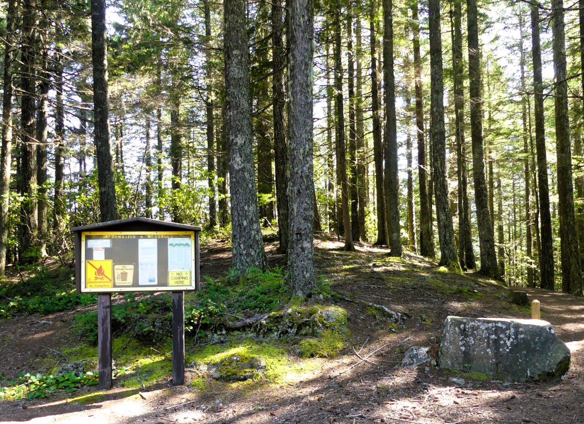 Views from Mt. Walker – Finally! – Cats and Trails and Garden Tales