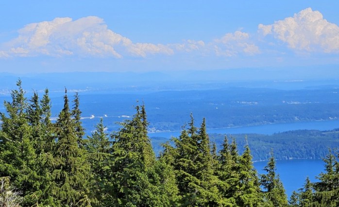 Views from Mt. Walker – Finally! – Cats and Trails and Garden Tales
