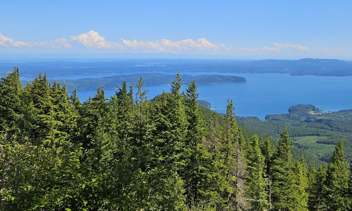 Views from Mt. Walker – Finally! – Cats and Trails and Garden Tales