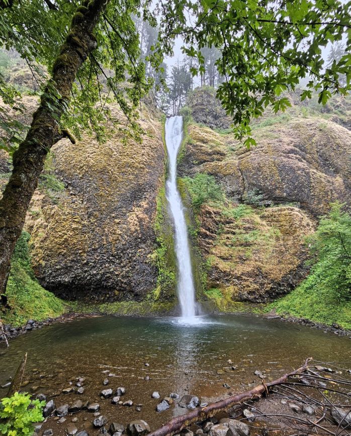 Highlights from the Columbia Gorge – Cats and Trails and Garden Tales