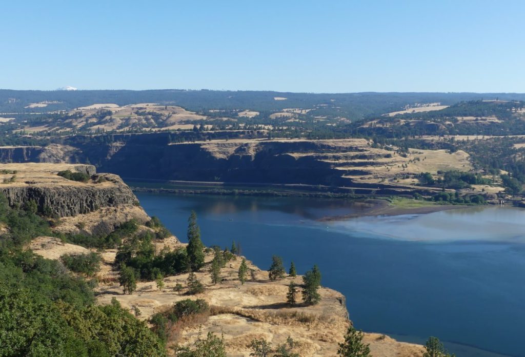 Highlights from the Columbia Gorge – Cats and Trails and Garden Tales