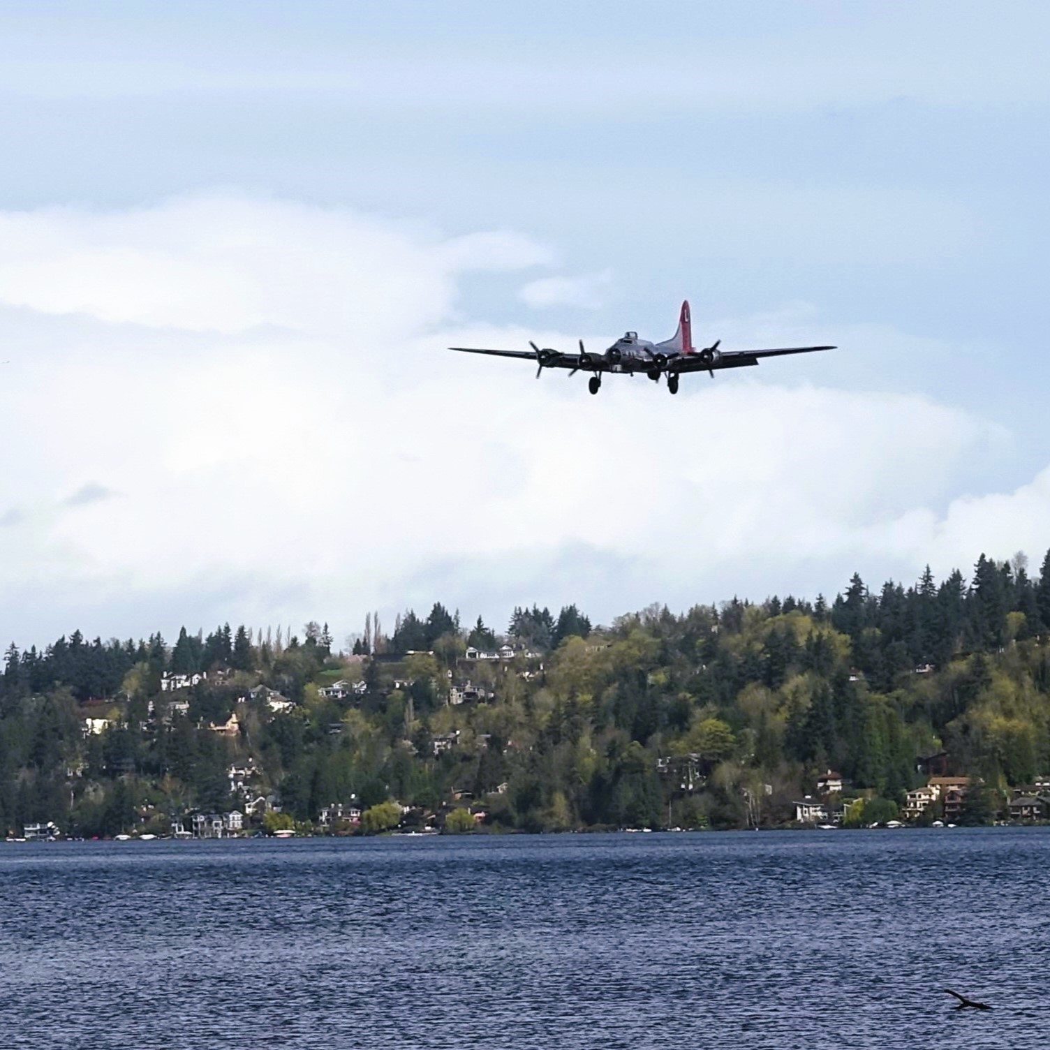 Cats and Trails and Garden Tales – Musings on cats, travel, gardens and ...