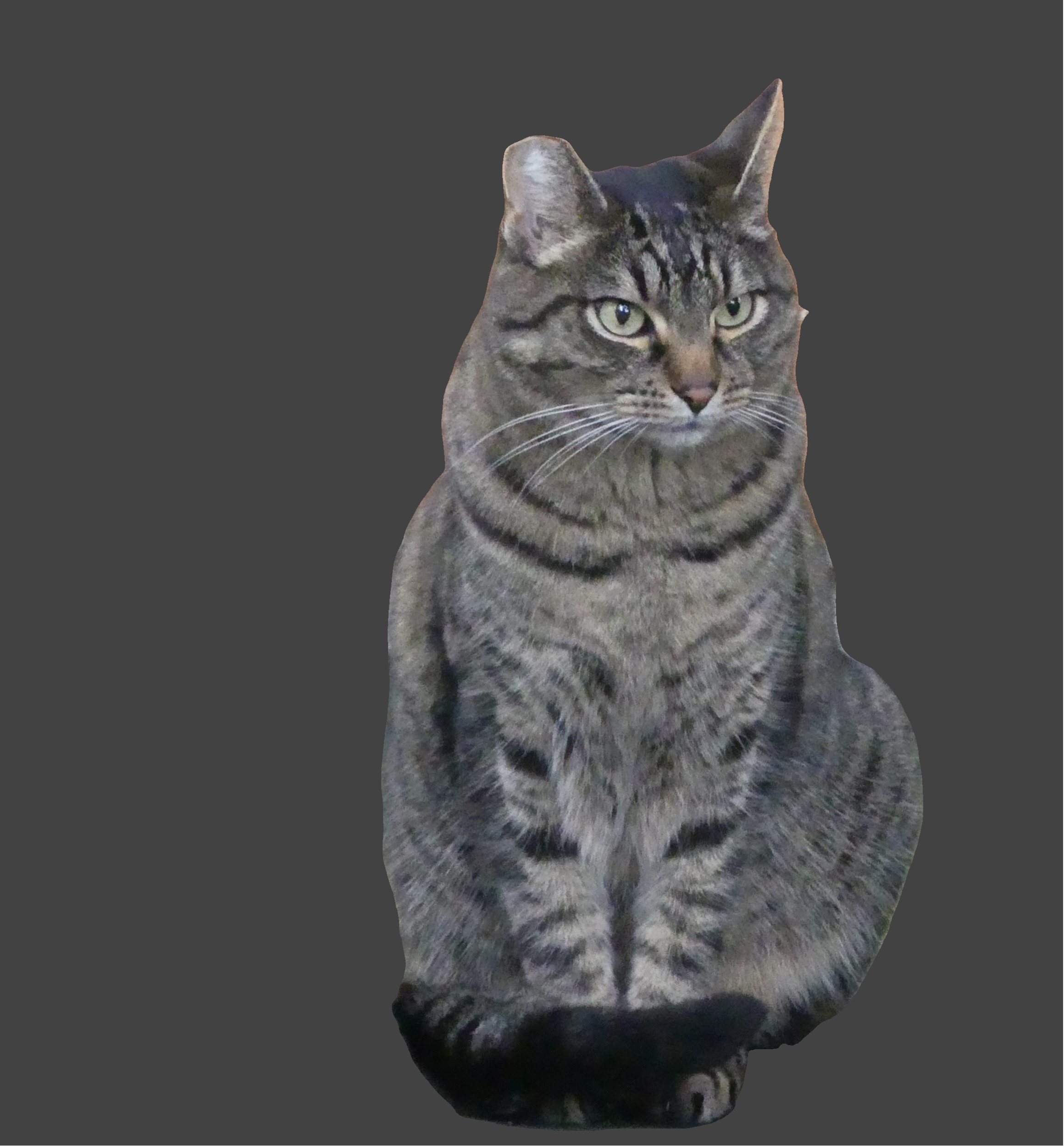 Cat Stickers 2 – Benji and Tiger – Cats and Trails and Garden Tales