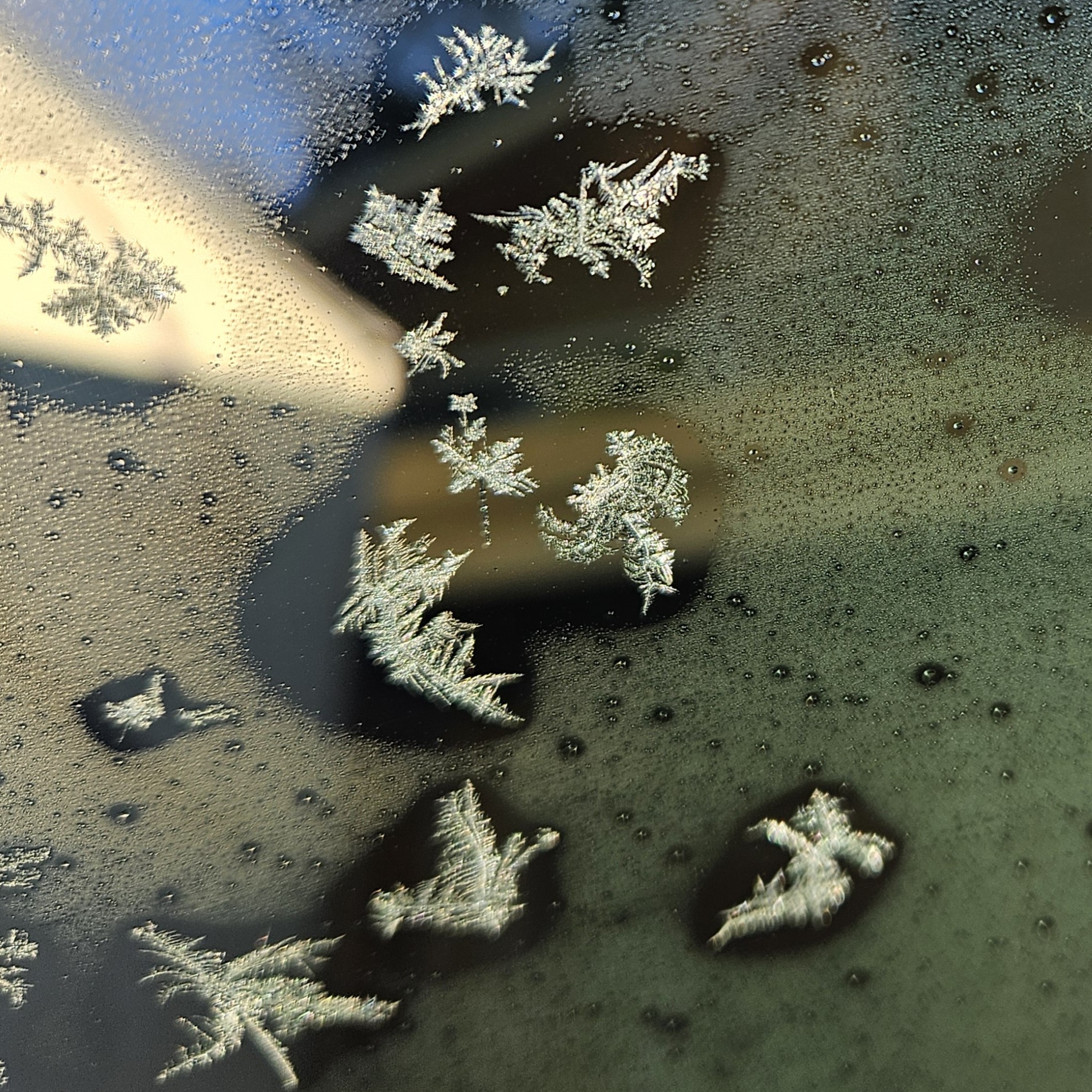 Windshield Art – Frosty Squares – Cats and Trails and Garden Tales