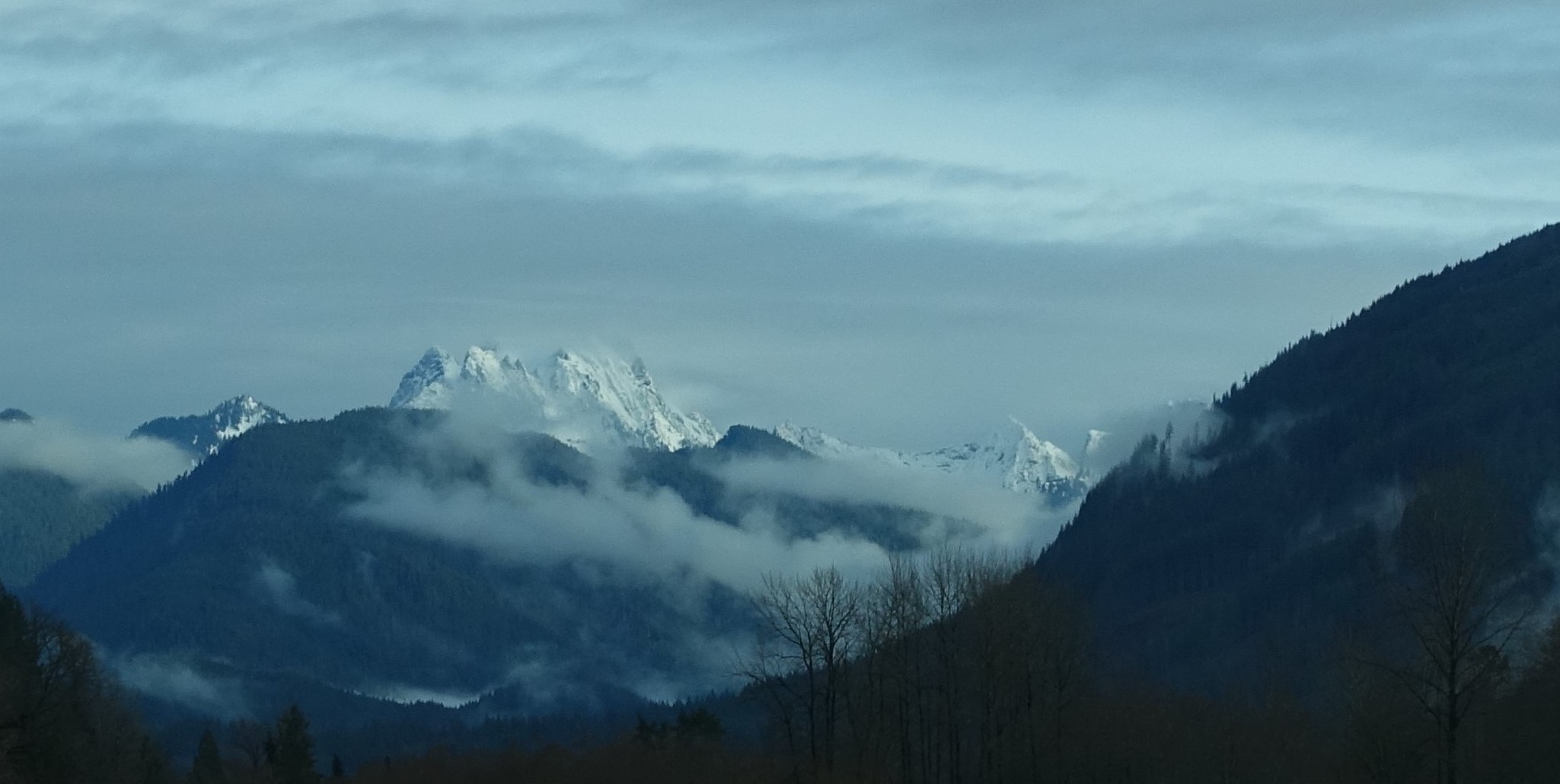 Frosty Scenes – Cats and Trails and Garden Tales