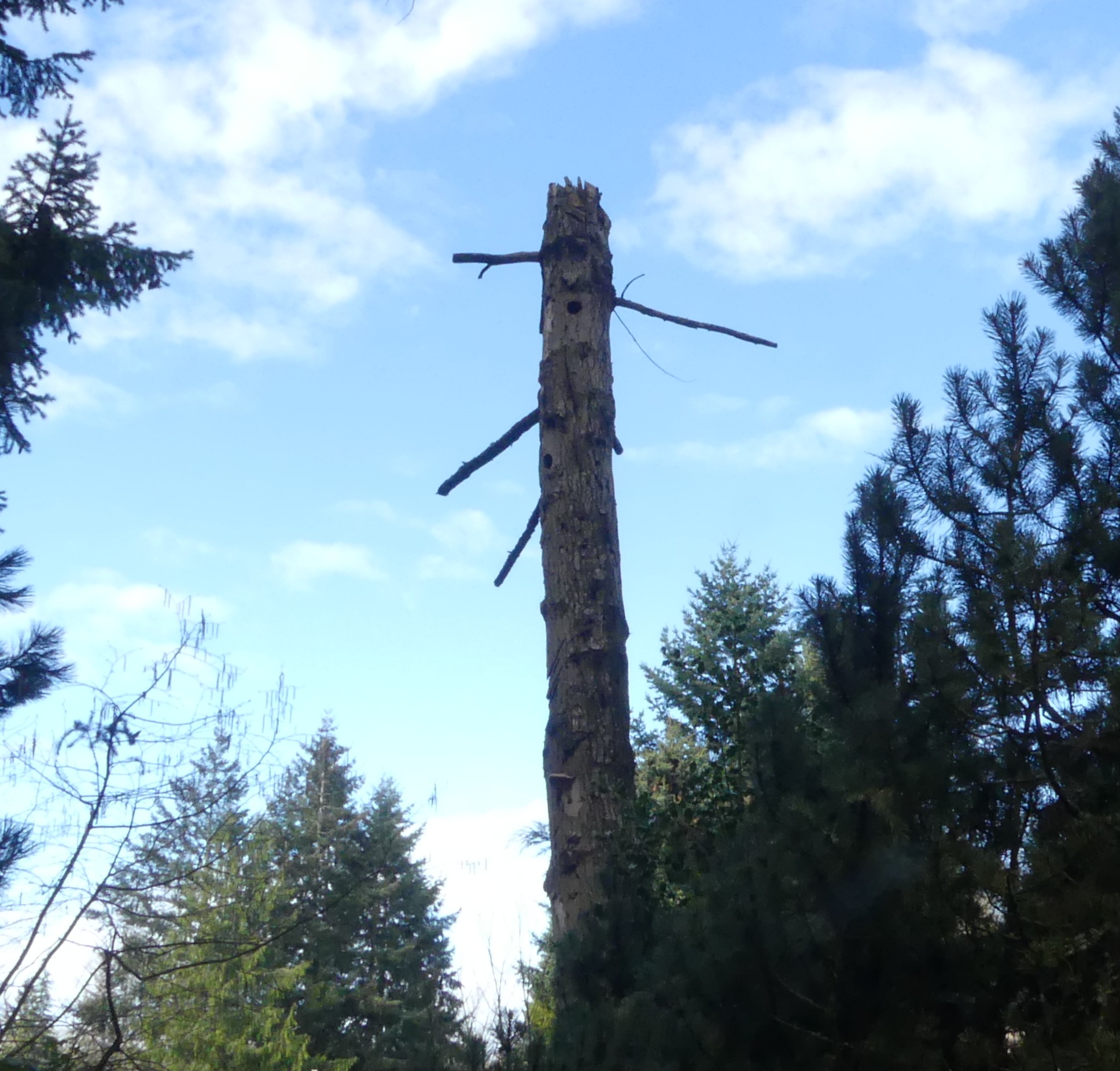 The Birds and the Bees and the Flowers and the Trees – Cats and Trails ...