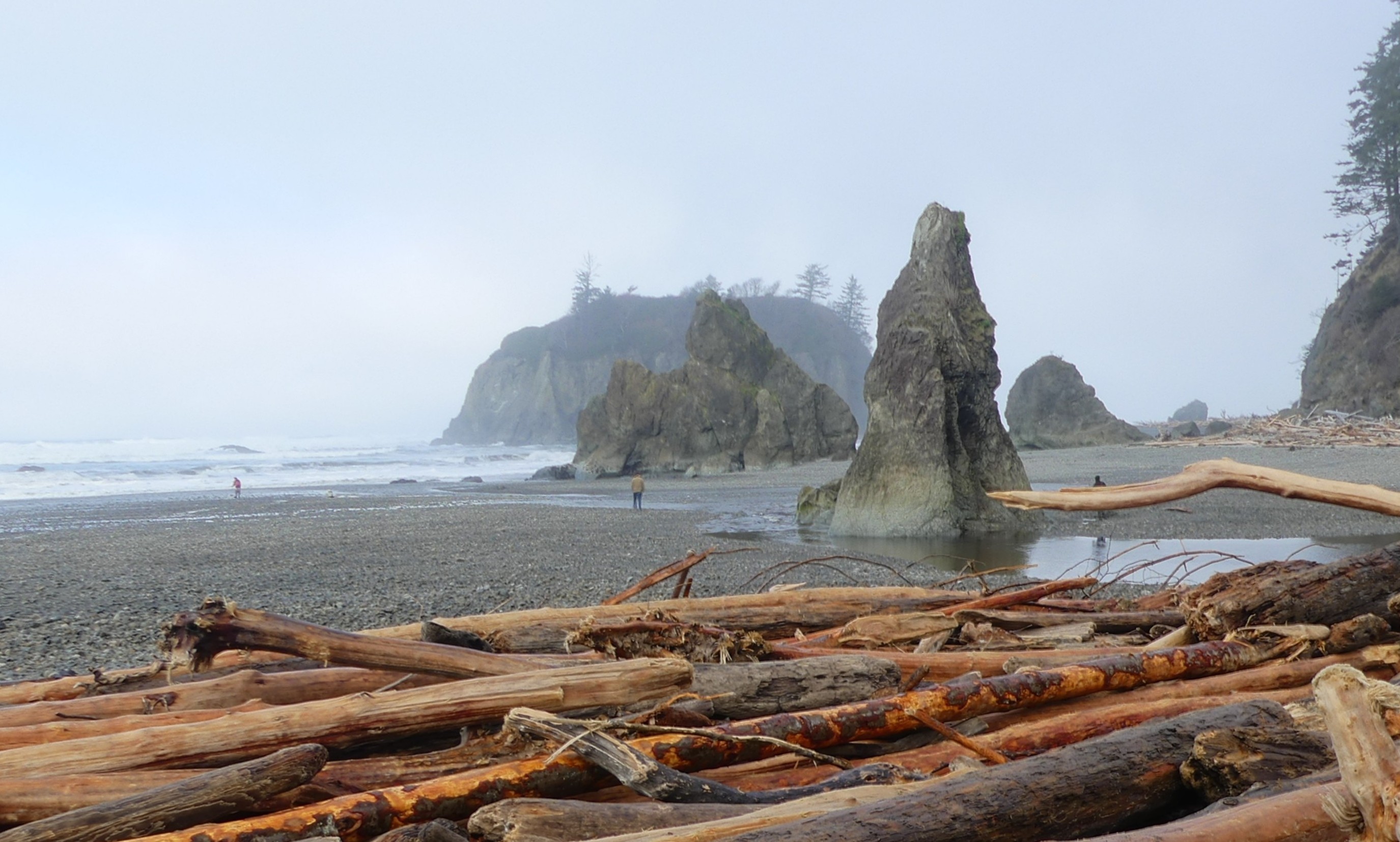 Ruby Beach – One of the World’s Best? – Cats and Trails and Garden Tales