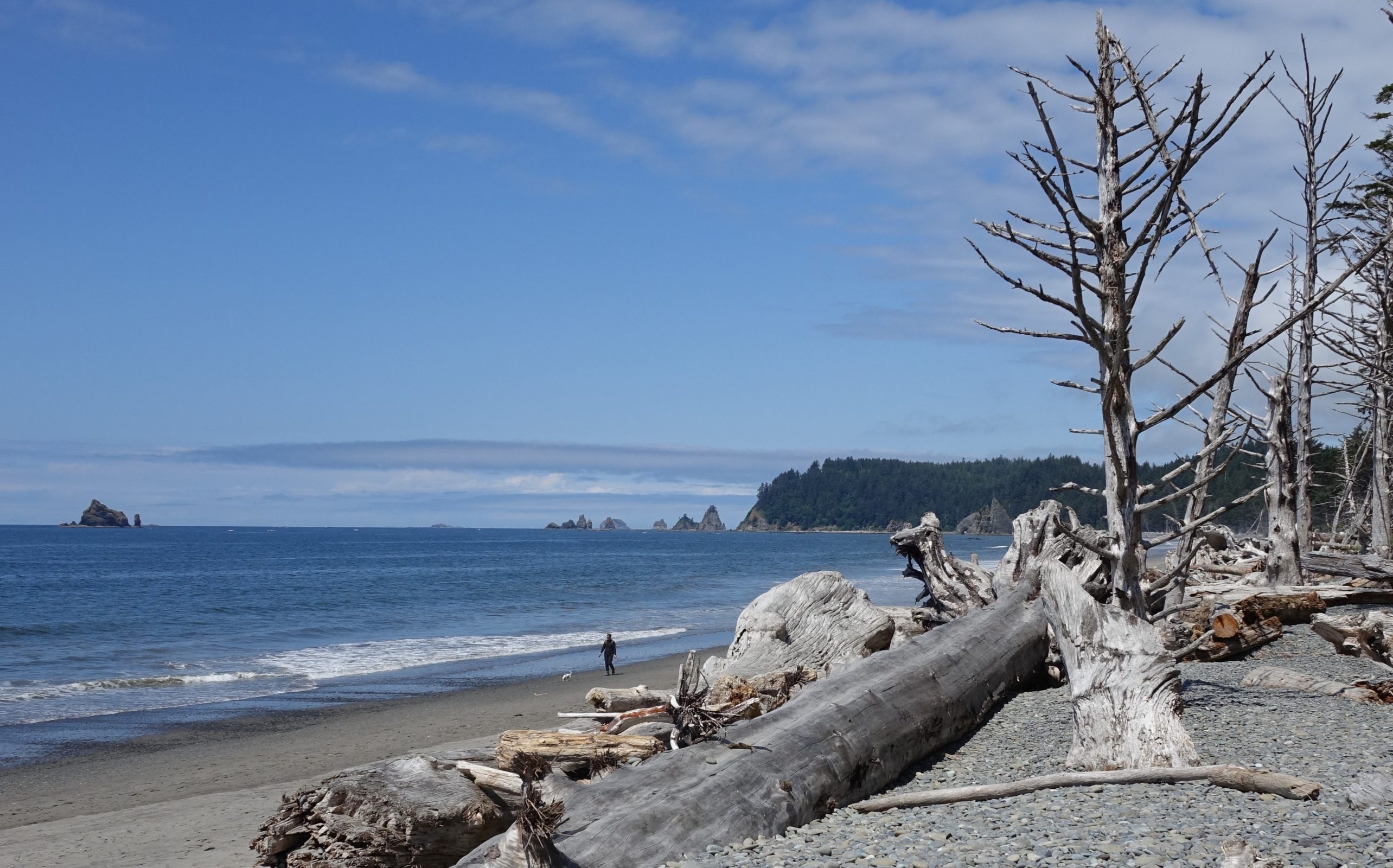 Ruby Beach – One of the World’s Best? – Cats and Trails and Garden Tales