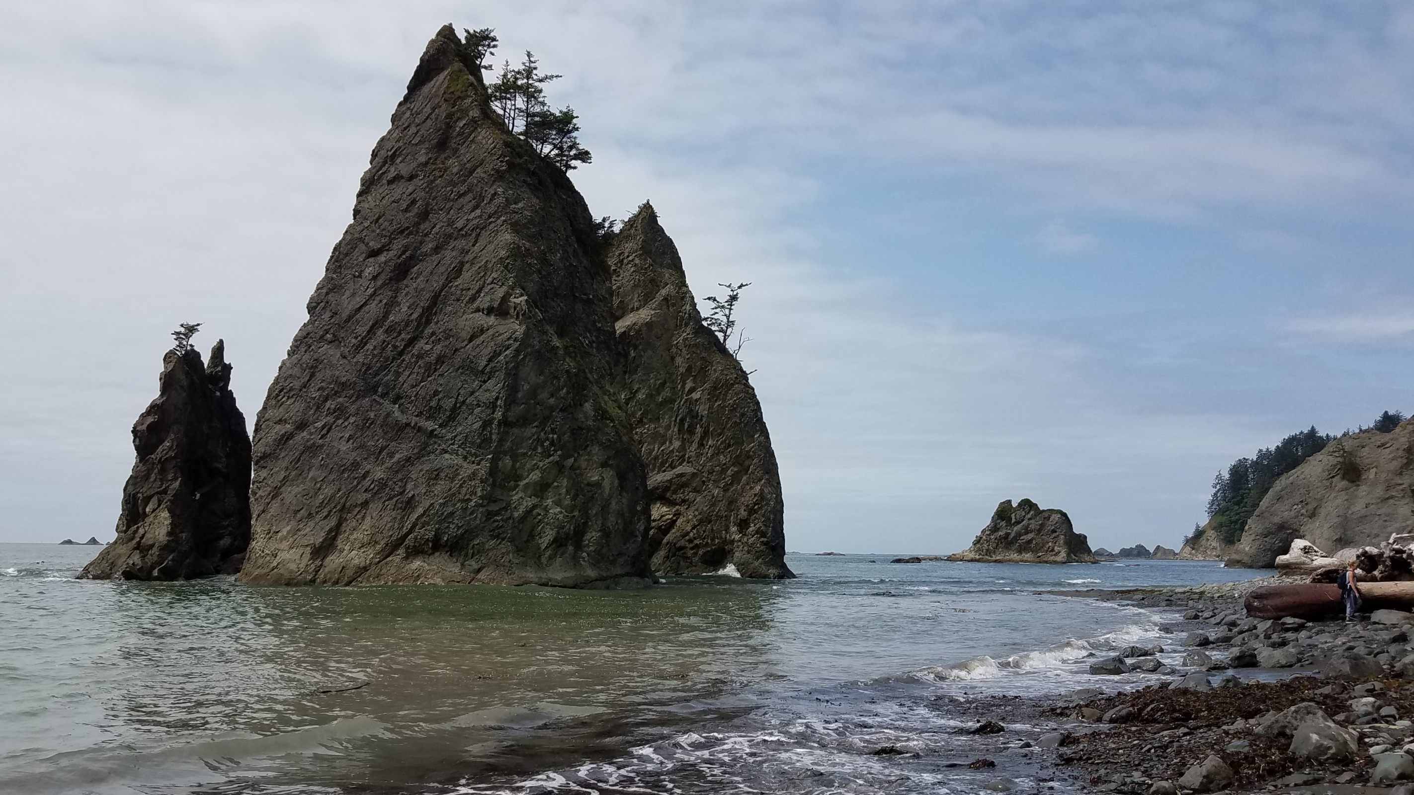 Ruby Beach – One of the World’s Best? – Cats and Trails and Garden Tales