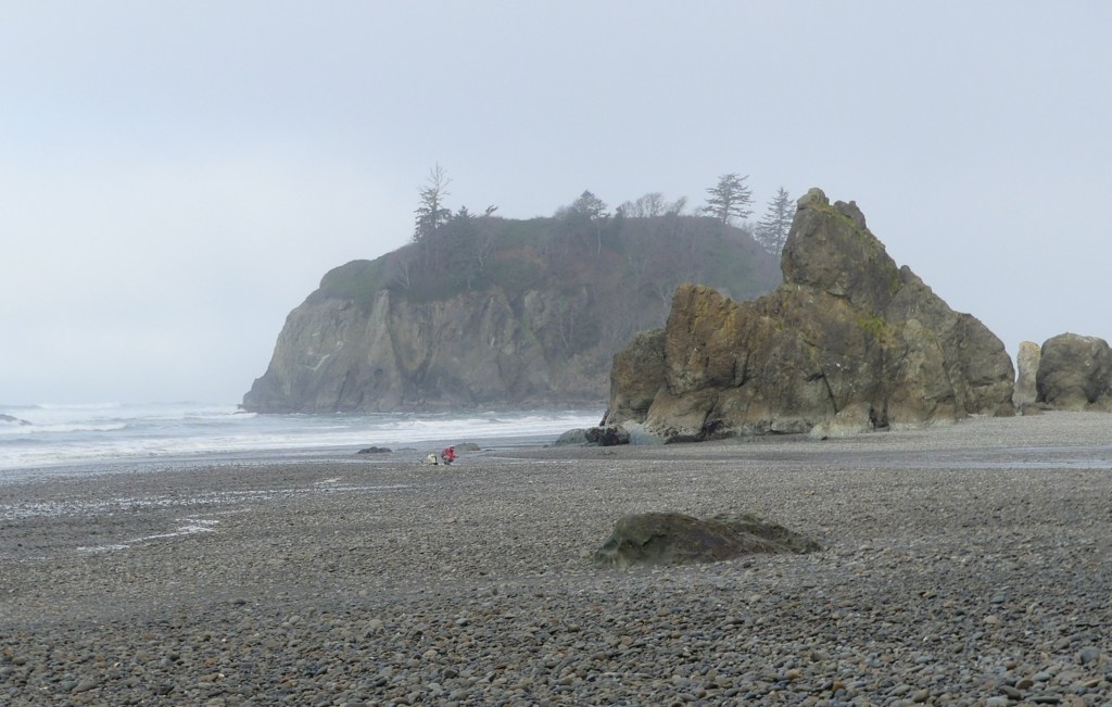 Ruby Beach – One of the World’s Best? – Cats and Trails and Garden Tales