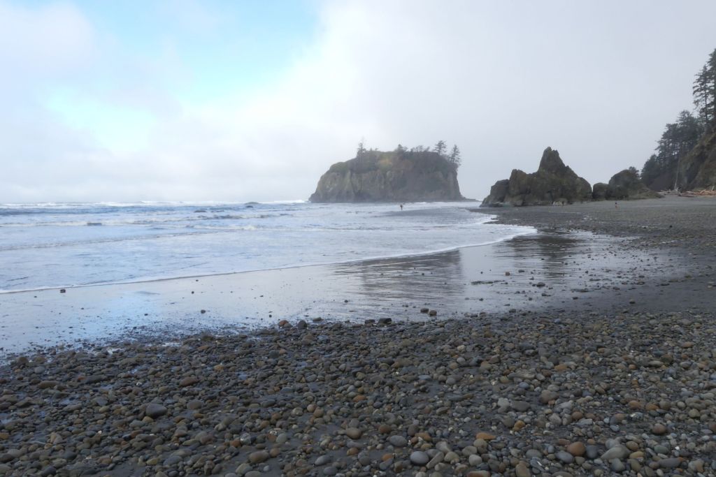 Ruby Beach – One of the World’s Best? – Cats and Trails and Garden Tales