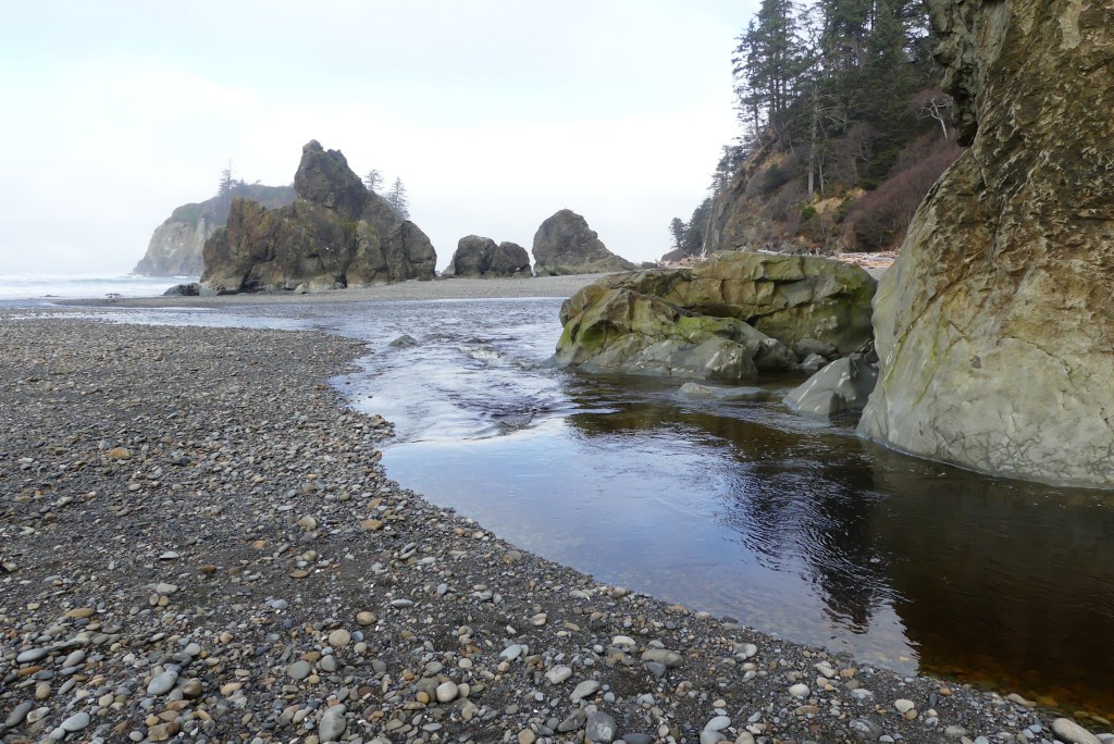 Ruby Beach – One of the World’s Best? – Cats and Trails and Garden Tales