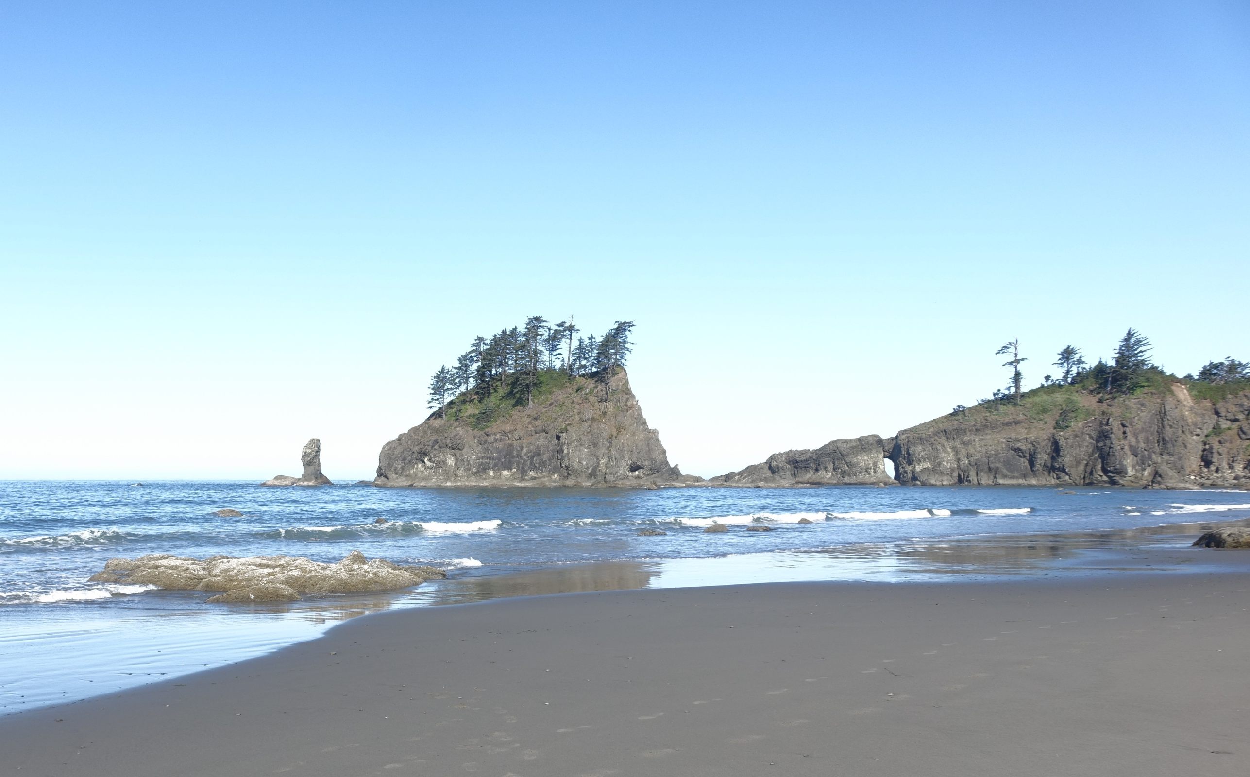 Ruby Beach – One of the World’s Best? – Cats and Trails and Garden Tales