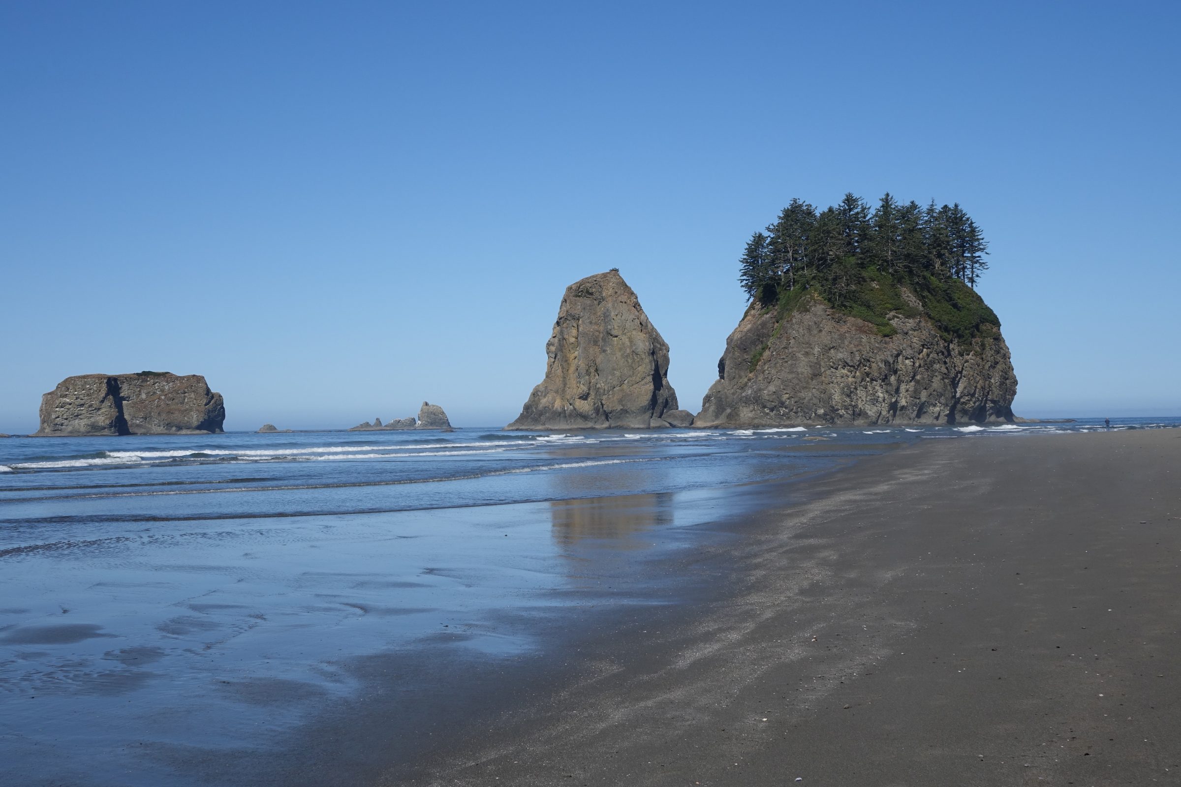 Ruby Beach – One of the World’s Best? – Cats and Trails and Garden Tales