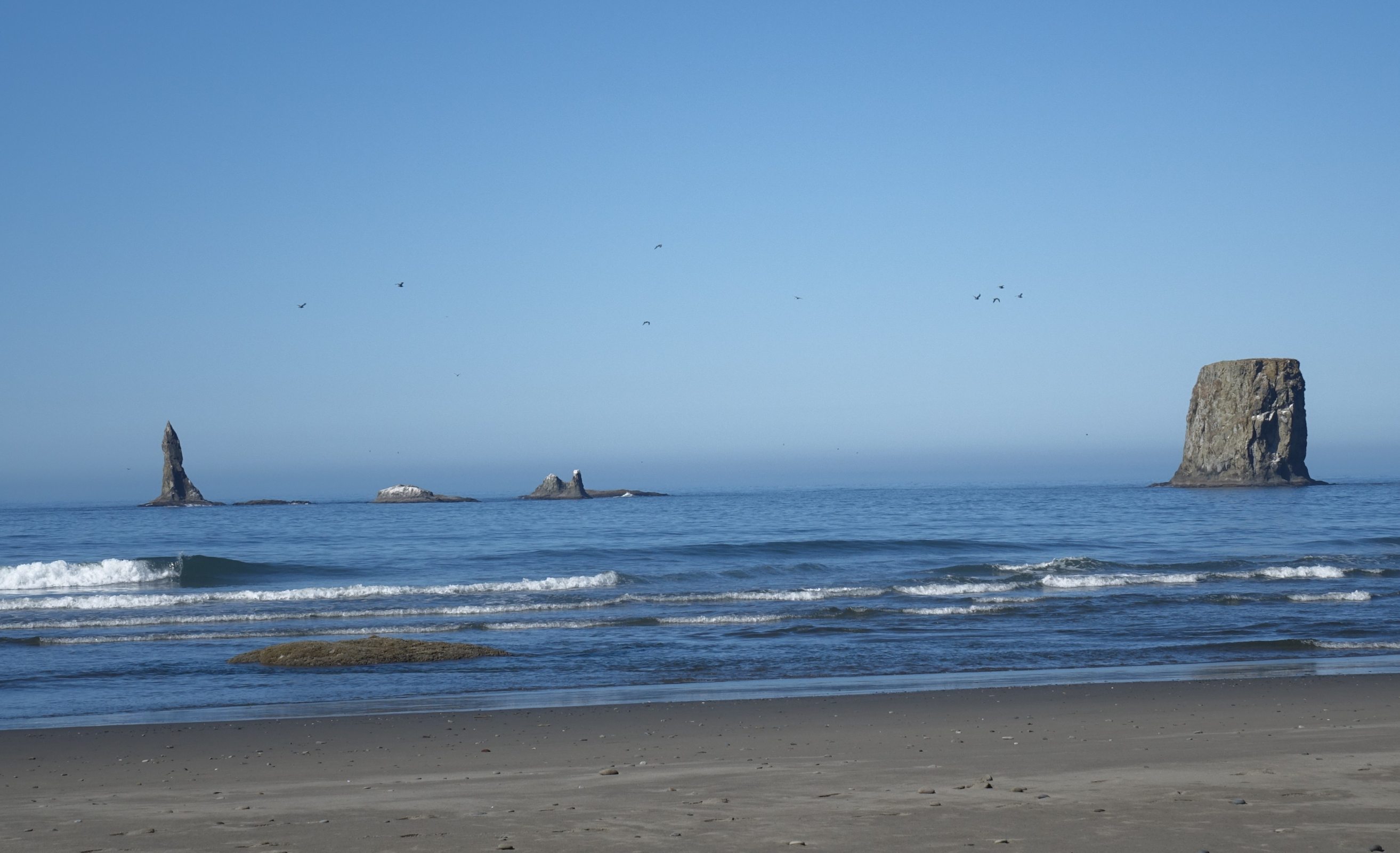 Ruby Beach – One of the World’s Best? – Cats and Trails and Garden Tales