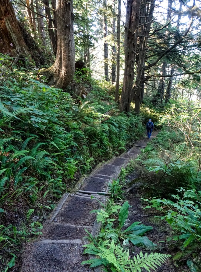 Ruby Beach – One of the World’s Best? – Cats and Trails and Garden Tales