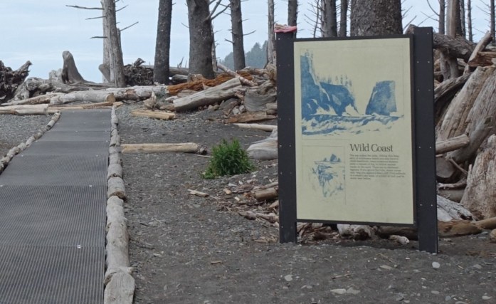Ruby Beach – One of the World’s Best? – Cats and Trails and Garden Tales