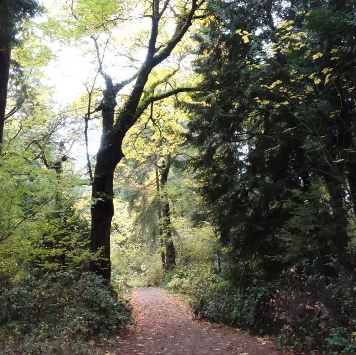 Celebrating Two Seattle Parks for the #Great Outdoors Month of June ...