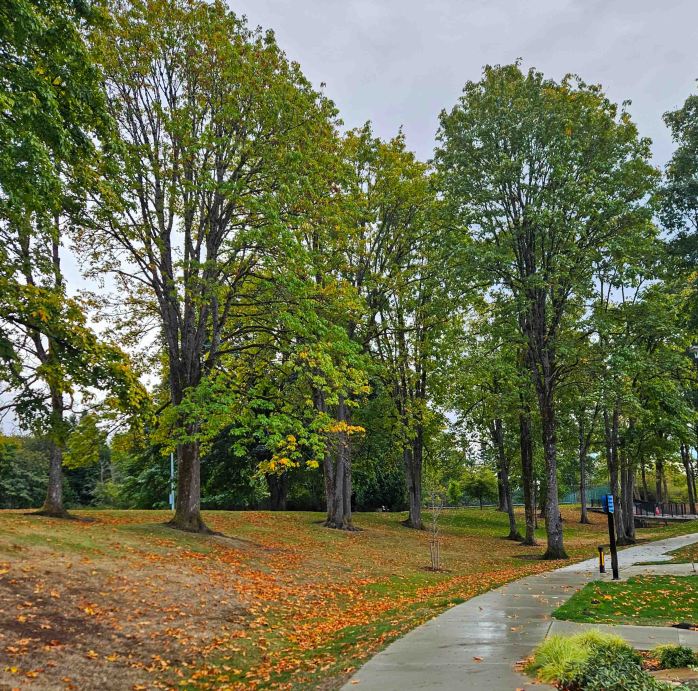 Welcome October! – Cats and Trails and Garden Tales