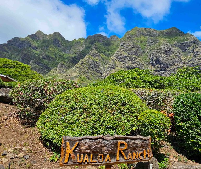 A Visit to Kualoa Ranch on Oahu – Cats and Trails and Garden Tales