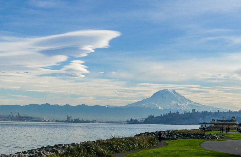 Textures in Nature and Art – Cats and Trails and Garden Tales